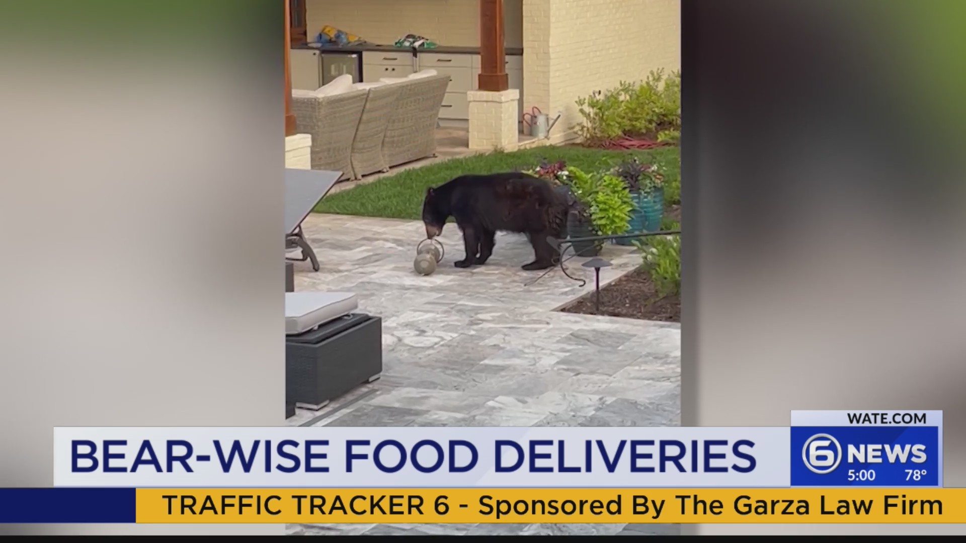 Bear-wise food deliveries – WATE 6 On Your Side