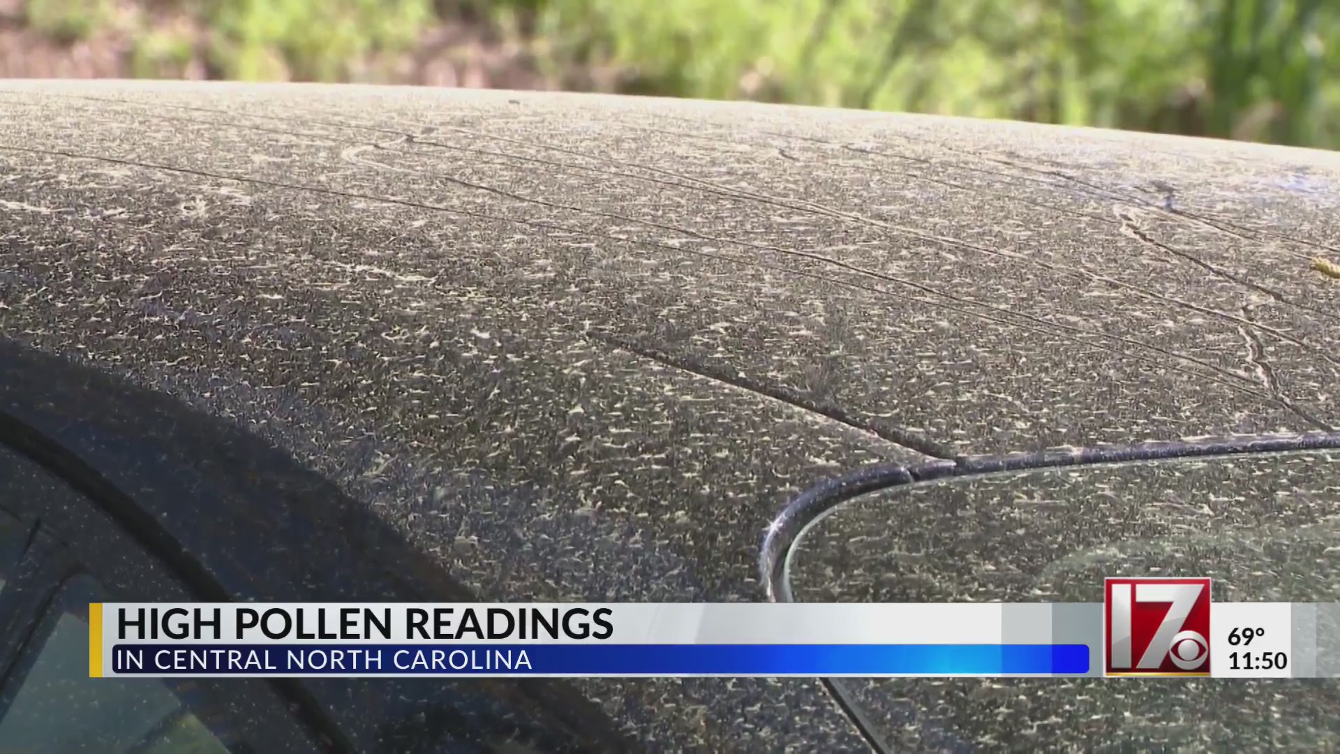NC grass pollen levels hit highest-ever March numbers – CBS17.com