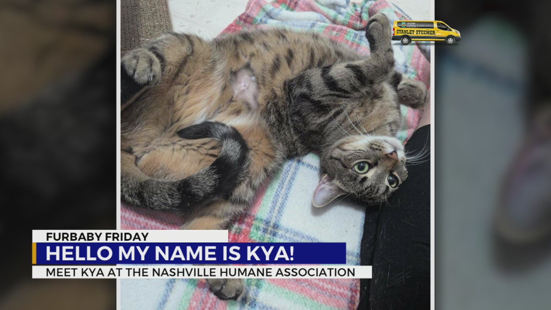 Fur Baby Friday: Meet Kya! – WKRN News 2