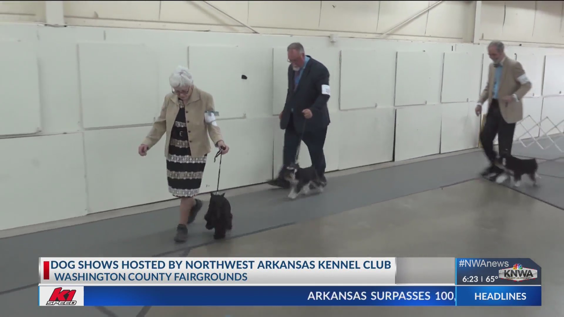 Arkansas Kennel Club hosts dog shows – KNWA FOX24