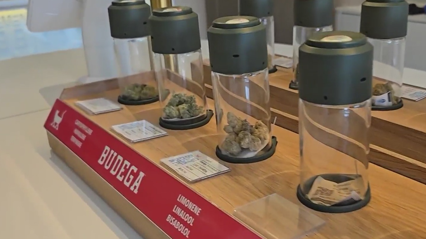 Bodega inspired dispensary opens in Brooklyn – PIX11