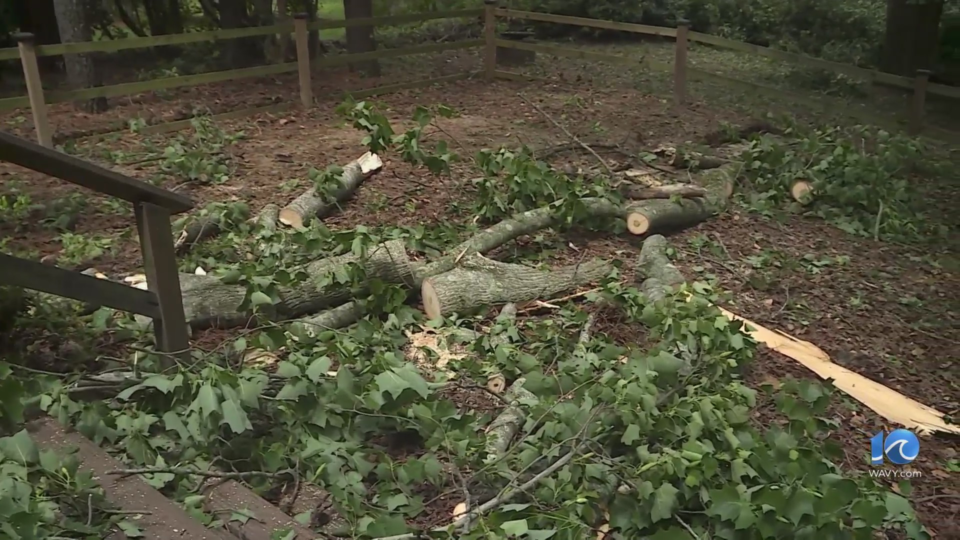 Suffolk residents without power due to Friday’s storm – WAVY.com