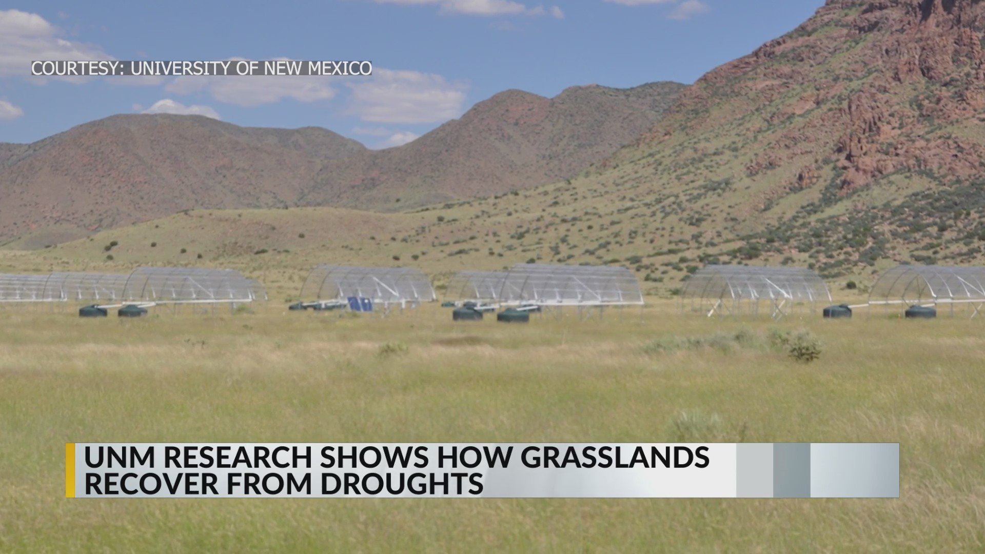University of New Mexico researchers look into how grasslands recover ...