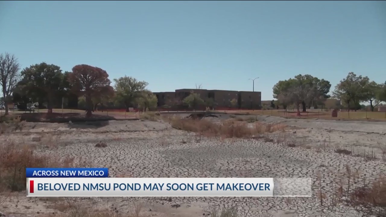 NMSU Alumni Duck Pond to get multimillion makeover – KTSM 9 News