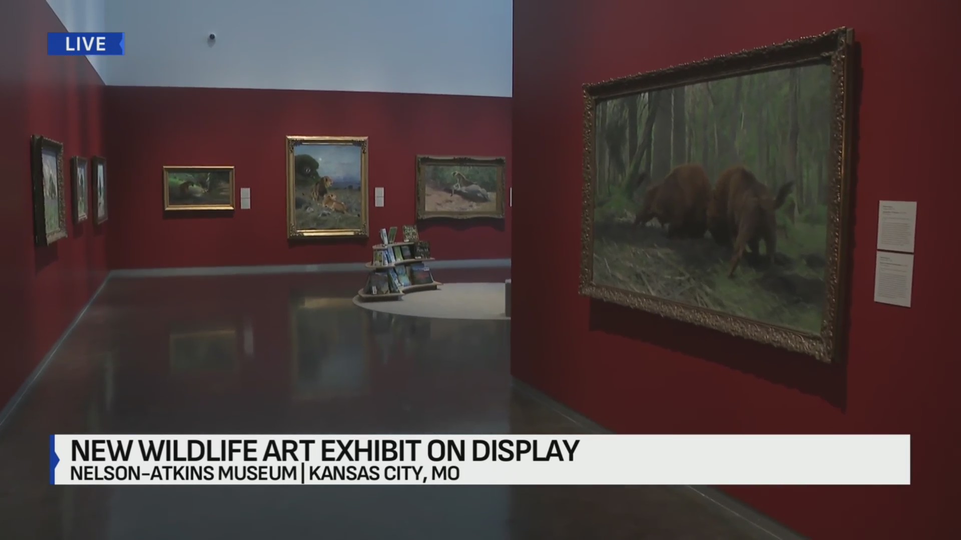 Nelson-Atkins unveils ‘Survival of the Fittest’ wildlife art exhibit ...
