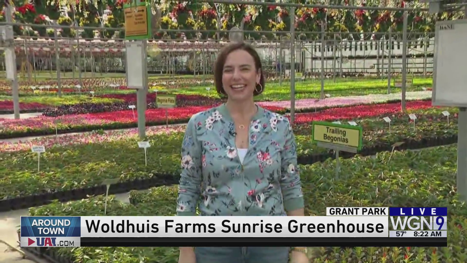 Around Town – Woldhuis Farms Sunrise Greenhouse – WGN-TV