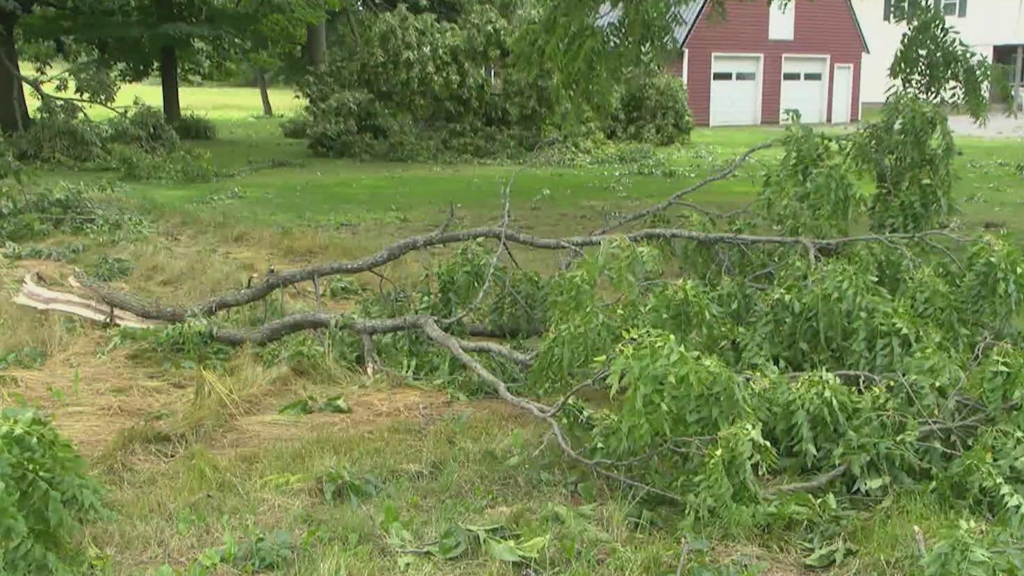 Tornado tally rises as Beryl remnants hit WNY – RochesterFirst