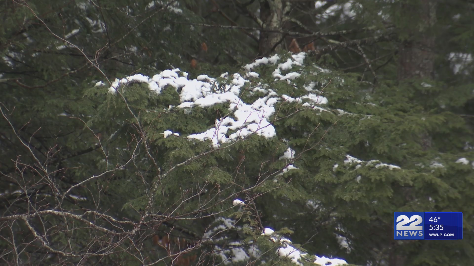 Western Mass. sees wild temperature swings this spring – WWLP