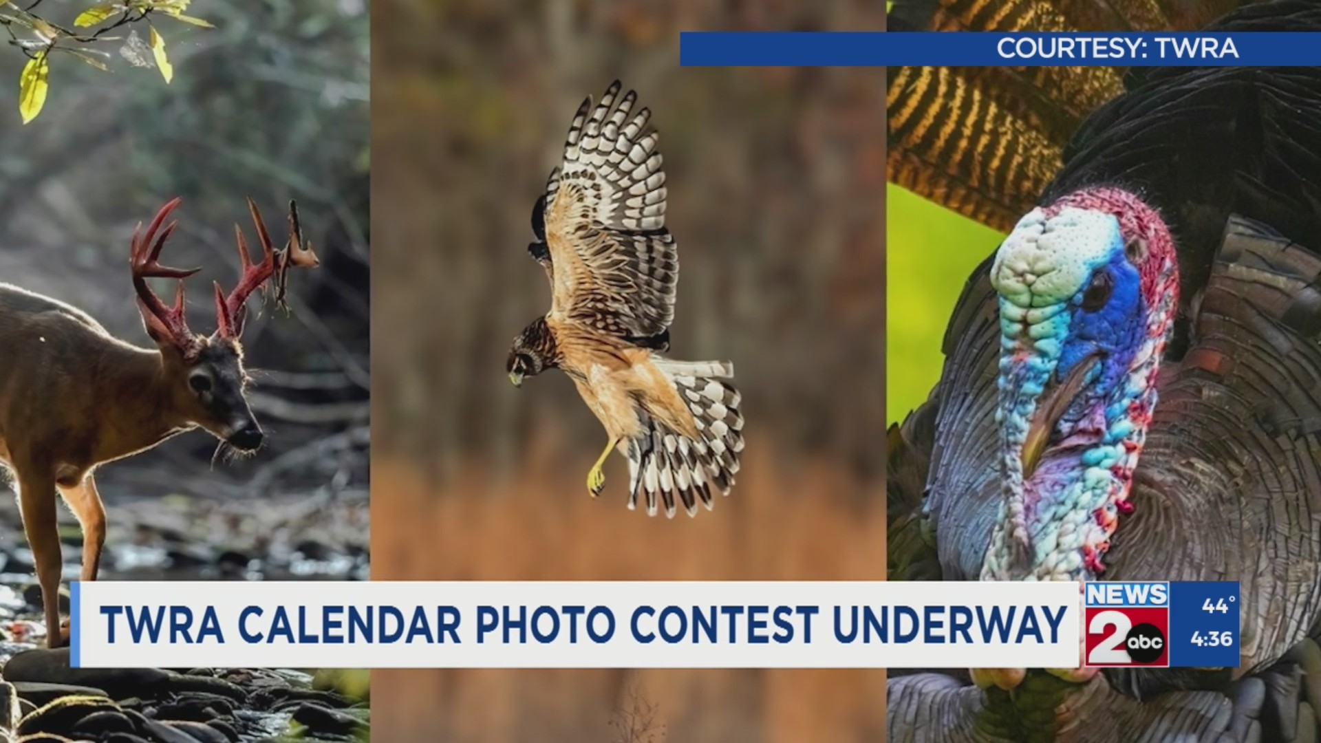 TWRA calendar photo contest underway – WKRN News 2
