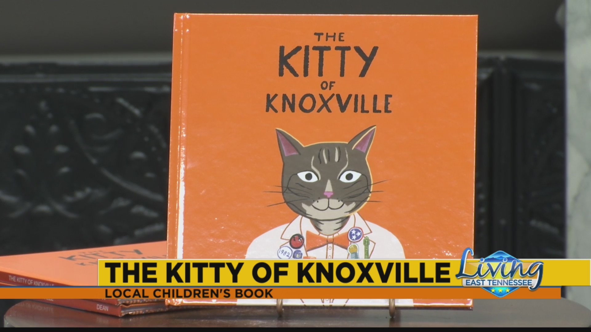 Local children’s author shares the story behind ‘The Kitty of Knoxville ...