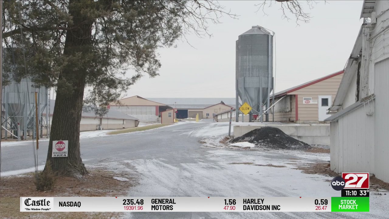 PA farms getting millions in funding – PAhomepage.com