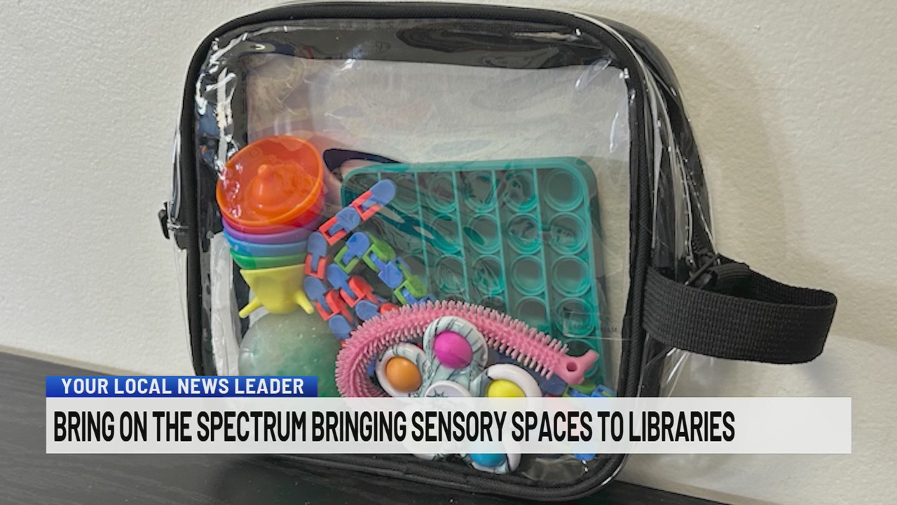 Bring On The Spectrum introducing Peace and Quiet libraries – NEWS10 ABC