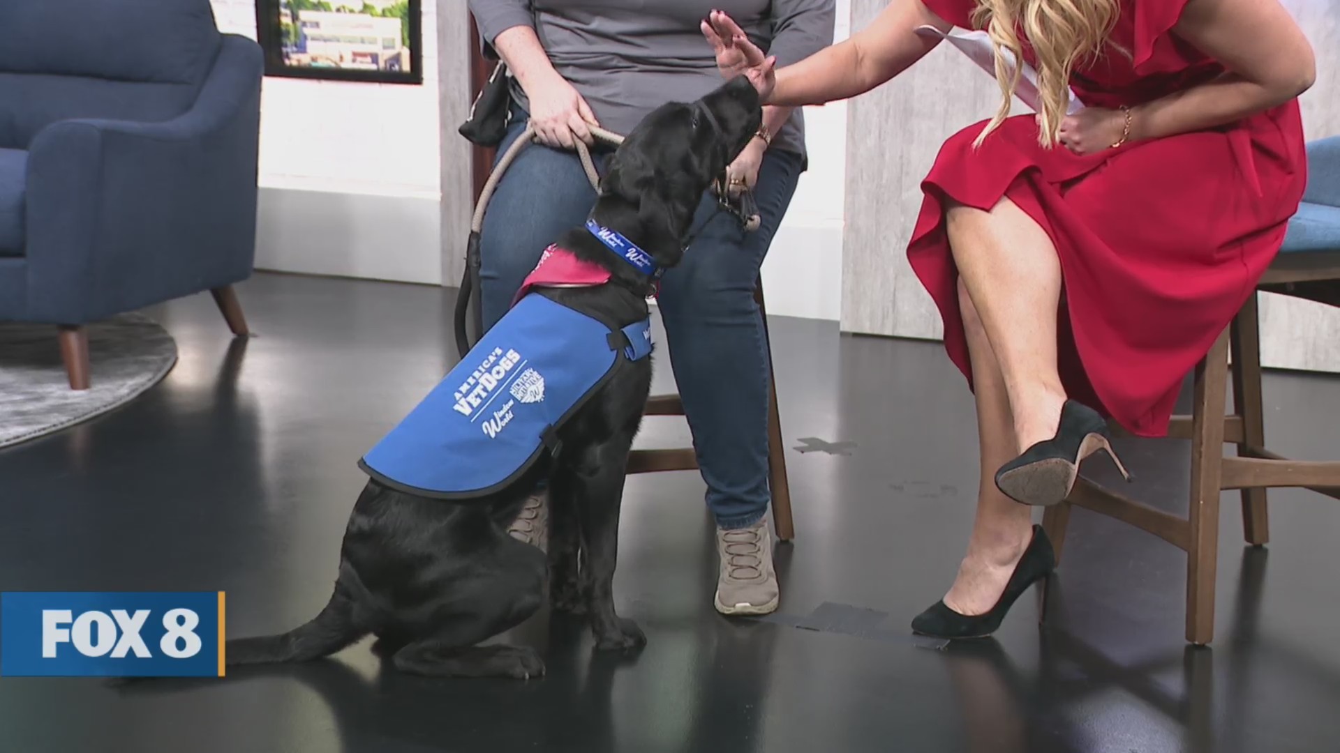 New Day Cleveland: Window World – Fox 8 Cleveland WJW