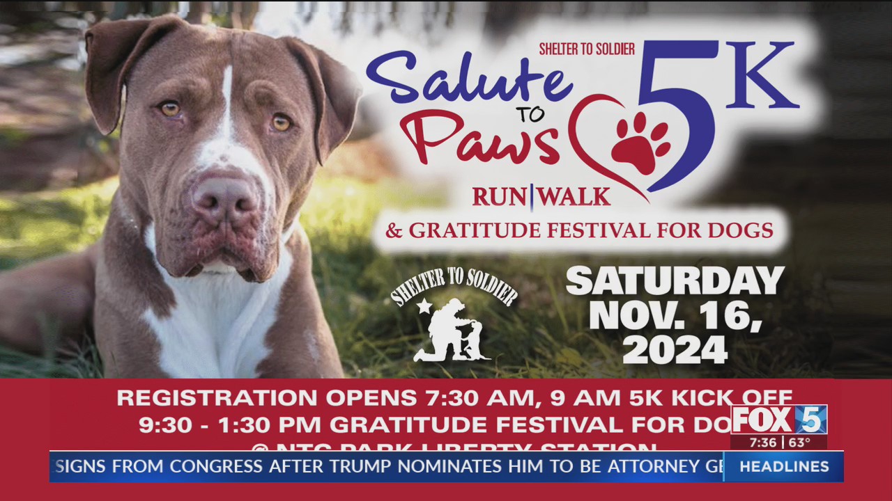 Shelter to Soldier Salute to Paws 5K and Gratitude Festival for Dogs ...