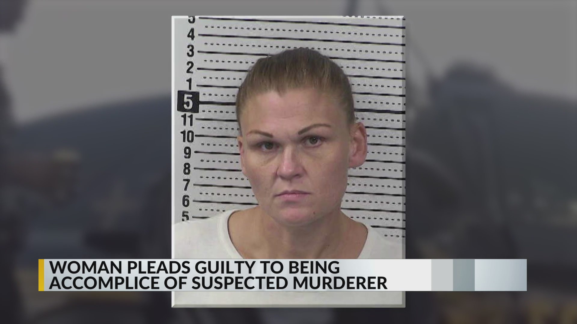 Woman pleads guilty to being an accomplice of accused murderer in New ...