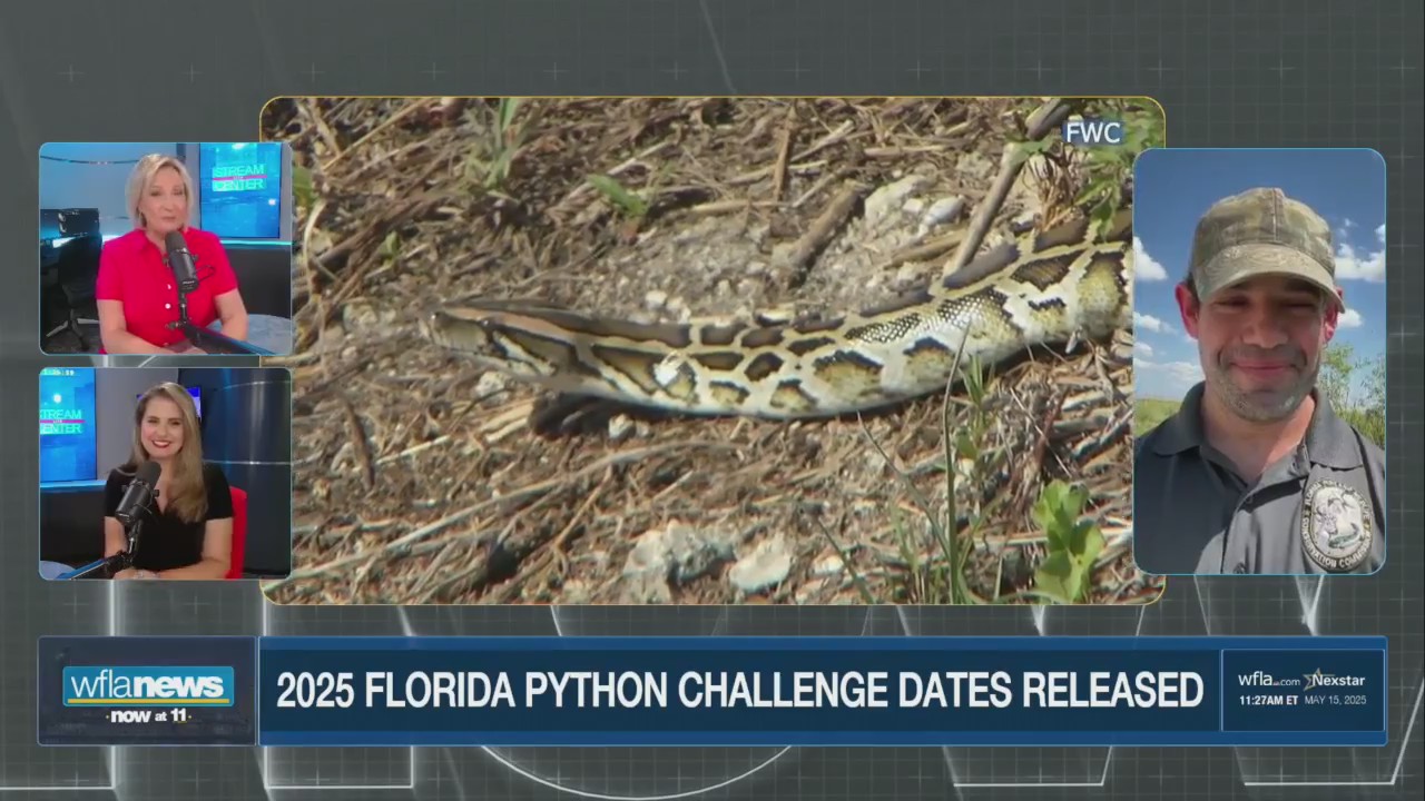Registration opens for popular Florida Python Challenge – WFLA