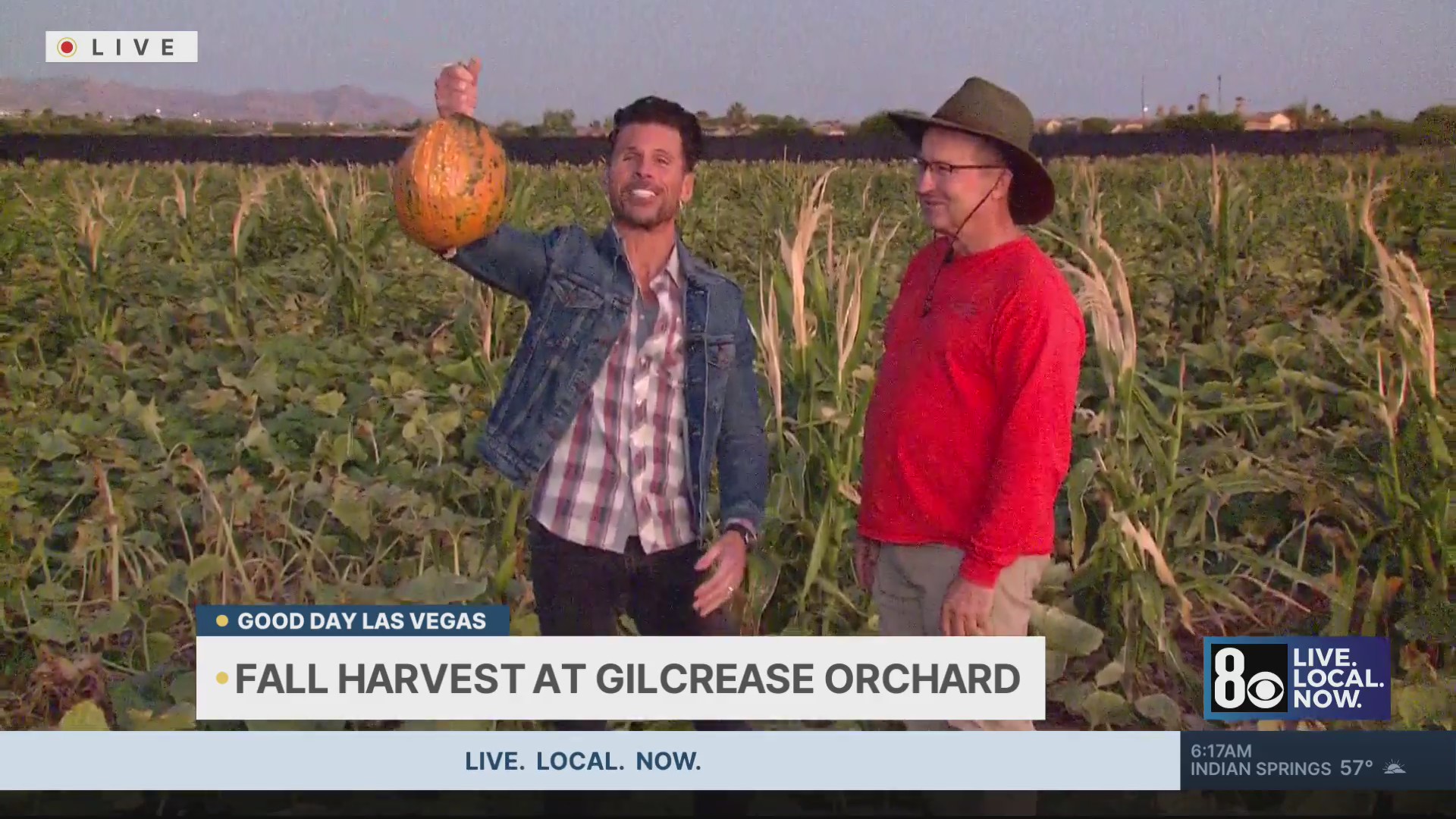 Picking the perfect pumpkin at Gilcrease Orchard – KLAS