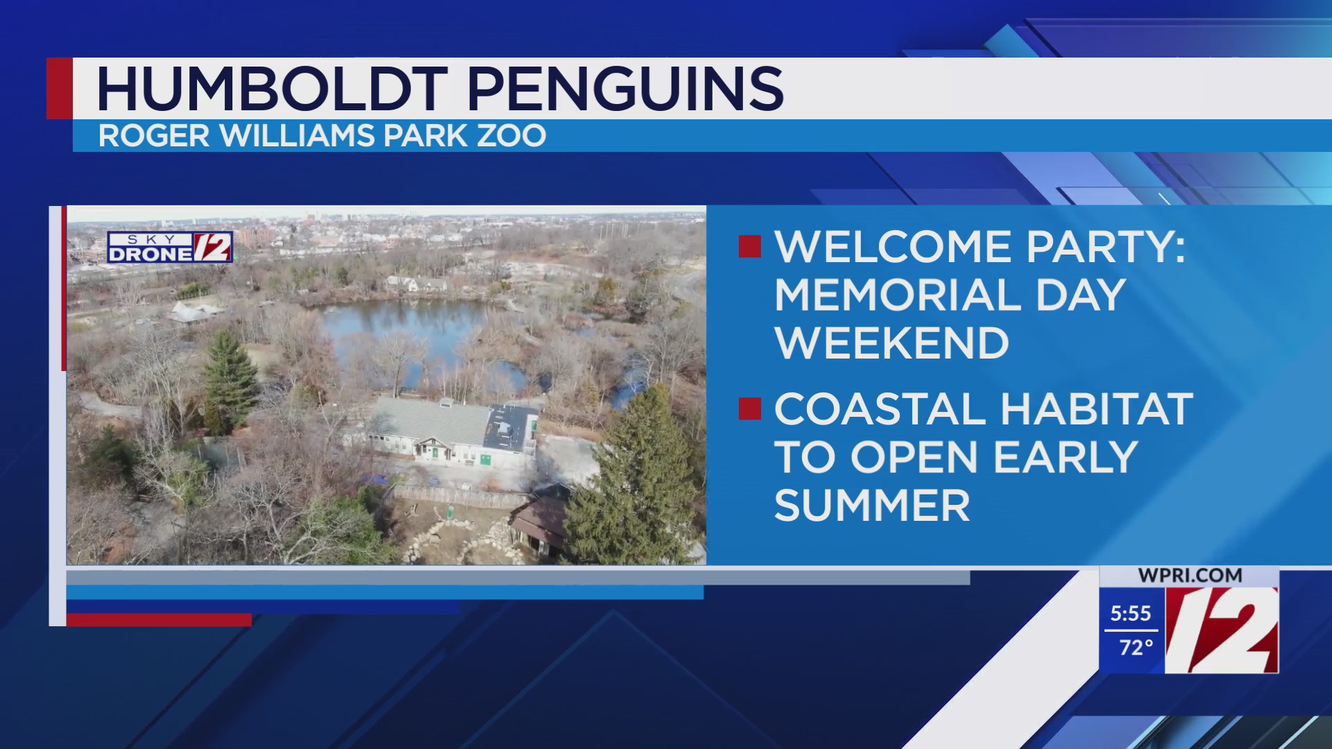 Roger Williams Park Zoo prepares to welcome penguins – WPRI.com