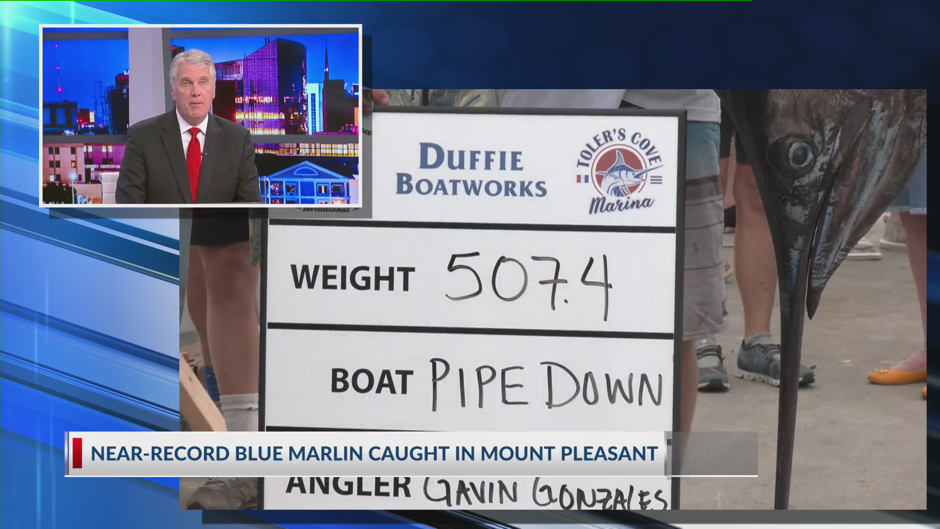 Blue marlin weighing over 500 lbs caught during SC Blue Marlin ...