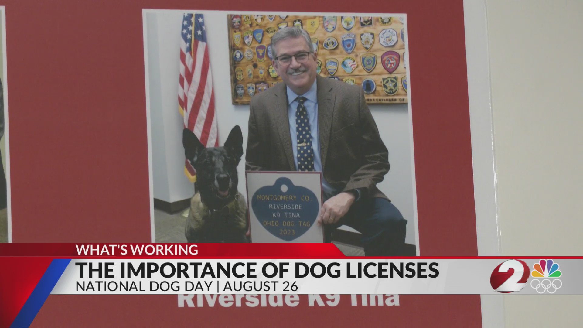Importance of dog licenses, adoptions: National Dog Day – WDTN.com