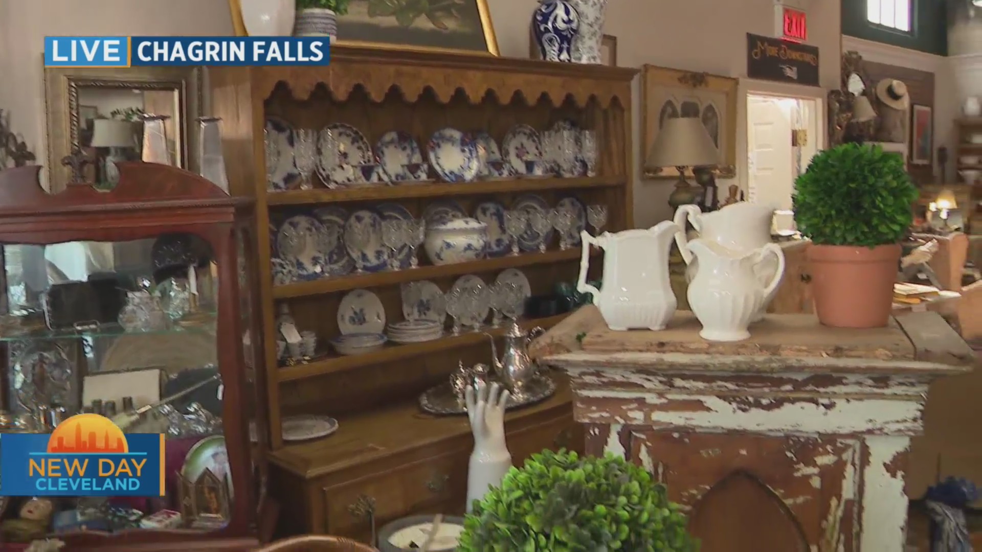 New Day Cleveland: FIG Chagrin – Fox 8 Cleveland WJW