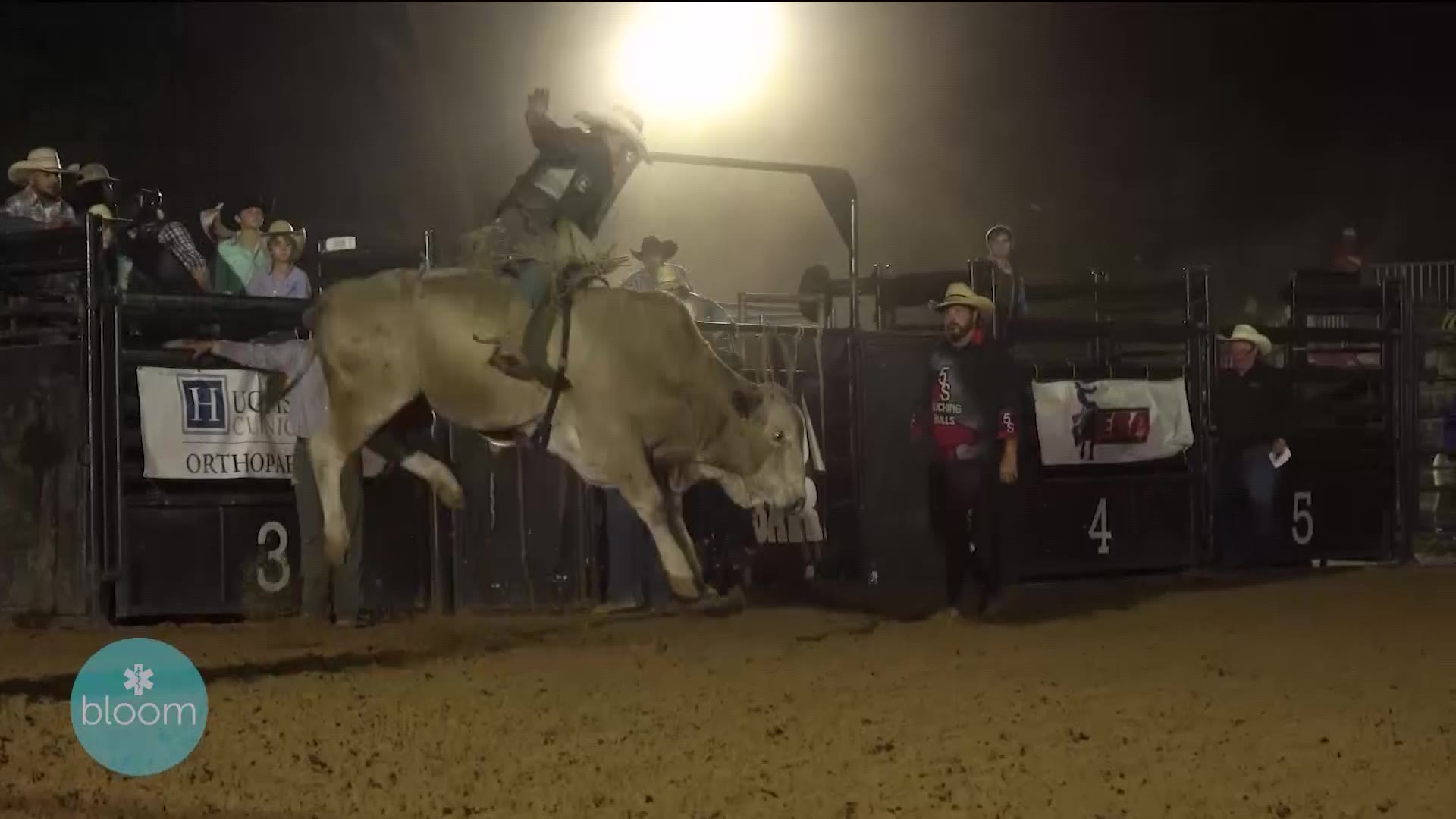 Window to the Weekend Giddy up for the Tampa Bay Rodeo & Family ...