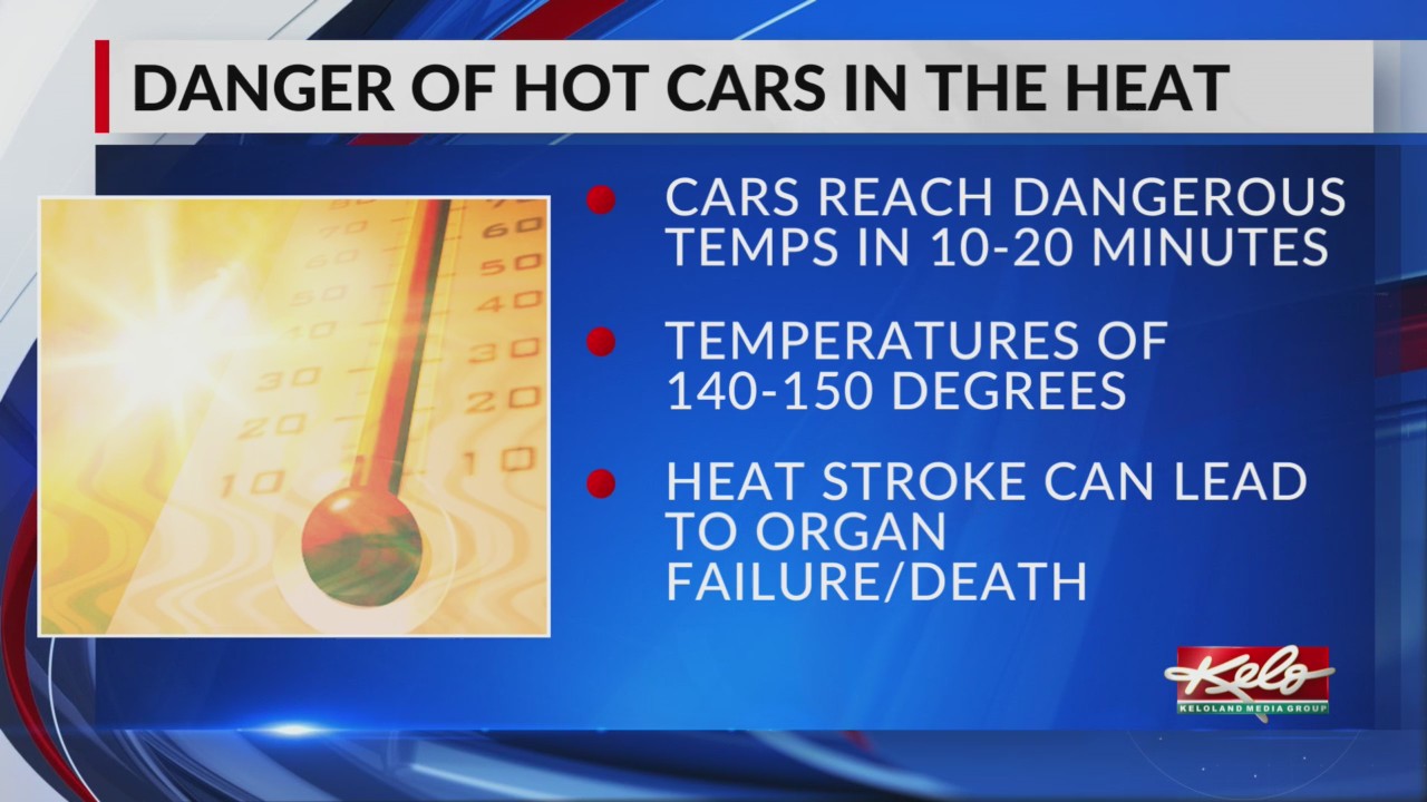 Heat and hot cars can quickly get dangerous – KELOLAND.com