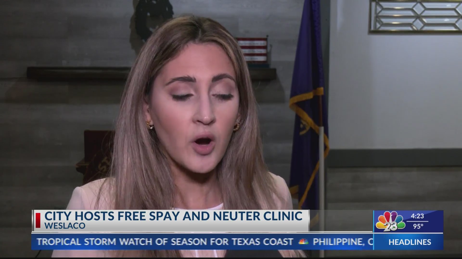 Weslaco hosts free spay and neuter clinic – KVEO-TV