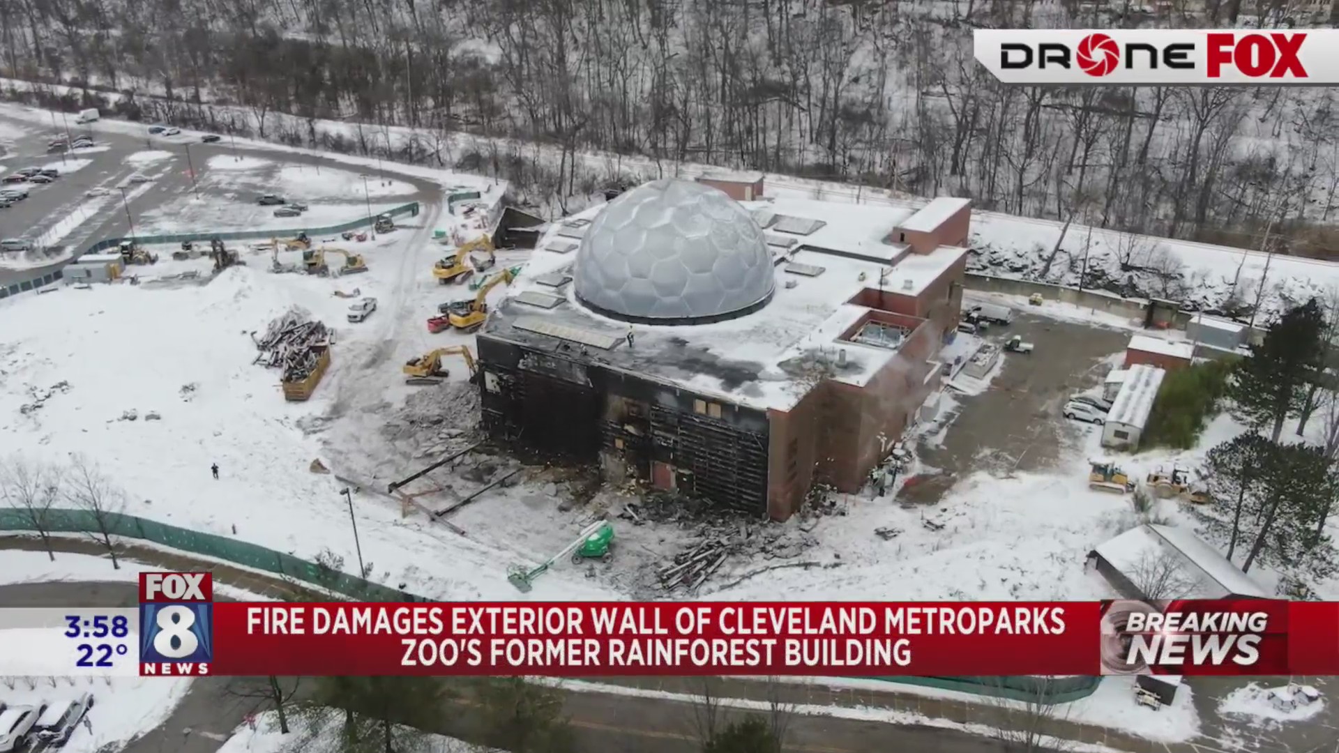 Crews respond to fire at Cleveland Metroparks Zoo’s RainForest – Fox 8 ...