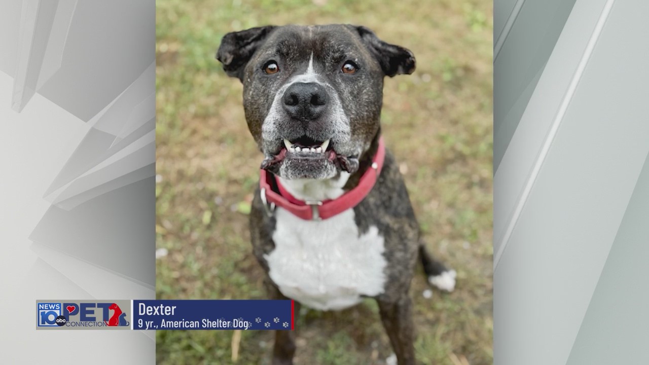 Dexter – NEWS10 ABC