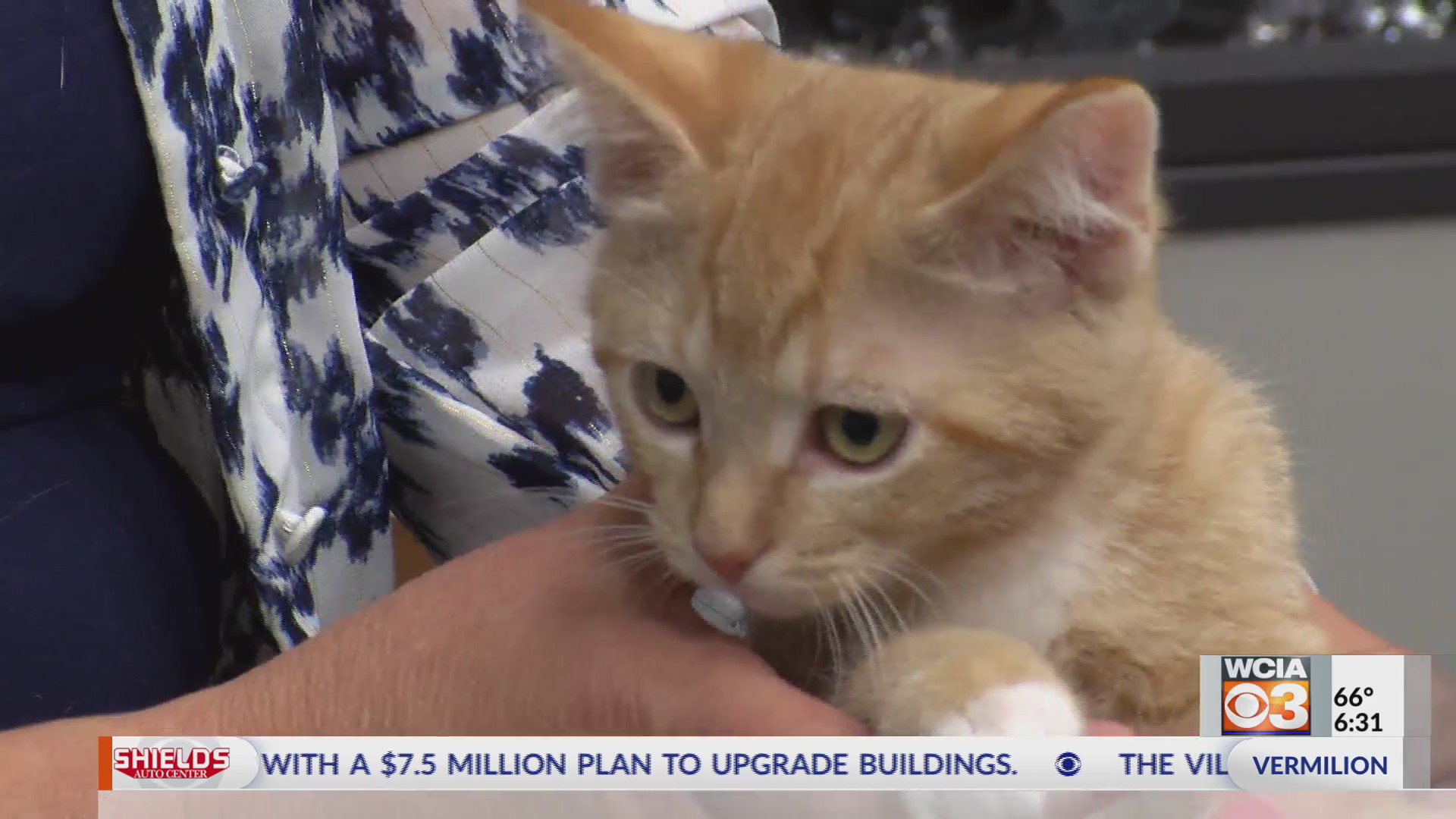 Pet on the Set: Leo – WCIA.com