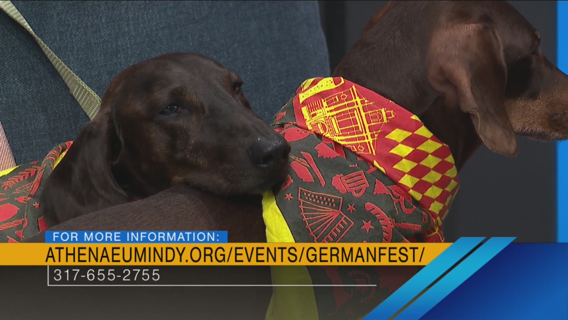 Athenaeum Foundation presents GermanFest – 9/30/25 – Fox 59