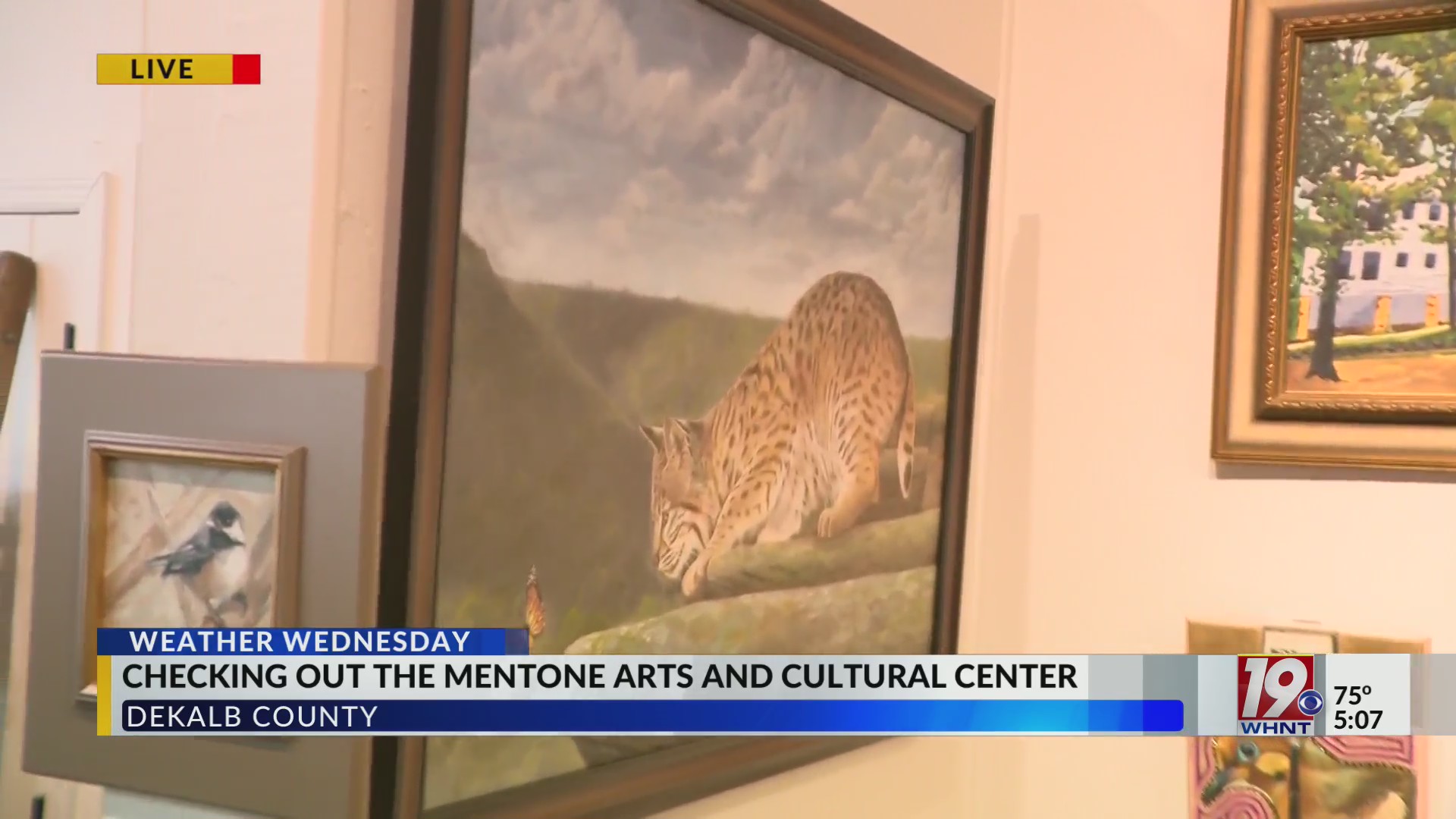 Weather Wednesday in Mentone | July 9, 2025 | News 19 at 5 p.m. – WHNT.com
