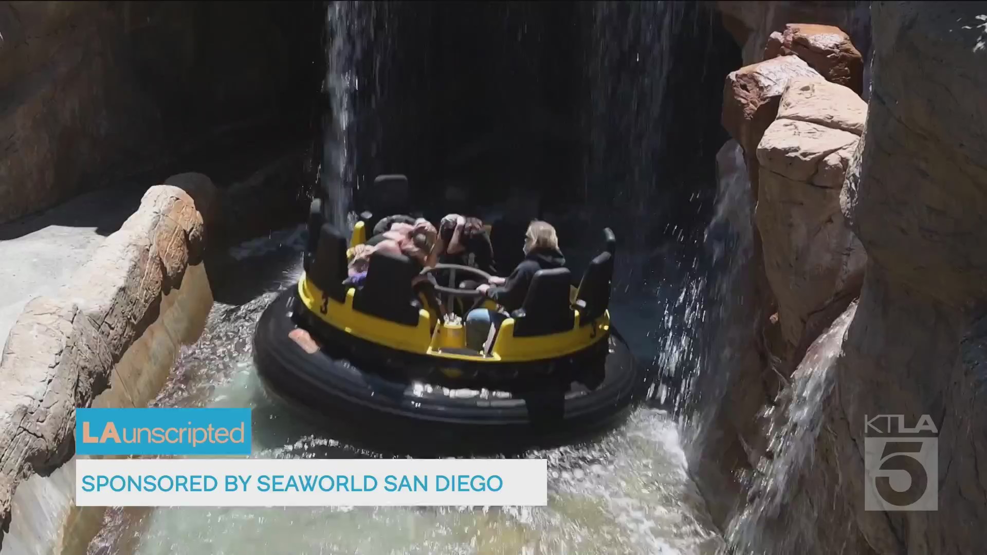 Come for the Animals, but Don’t Miss the Thrills! Sponsored By SeaWorld ...