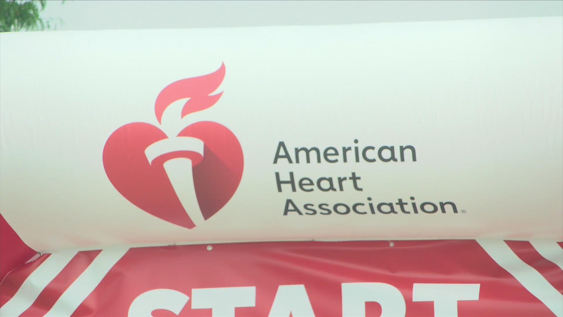 AHA Heart Walk & Run to raise awareness of heart disease, stroke ...