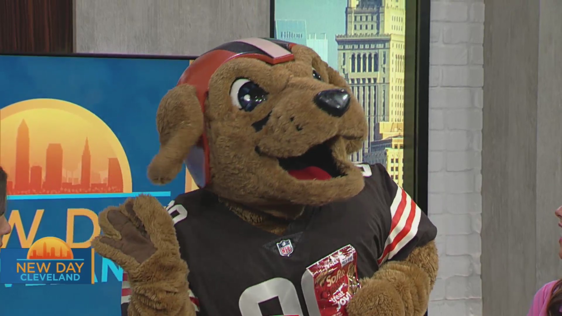 New Day Cleveland: Cleveland Browns – Fox 8 Cleveland WJW