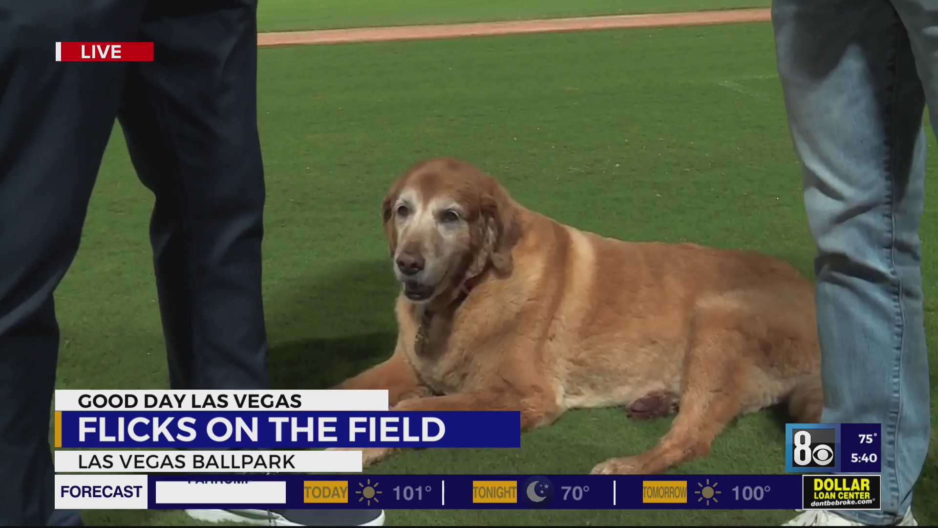 Flicks on the Field brings movies to Las Vegas Ballpark – KLAS