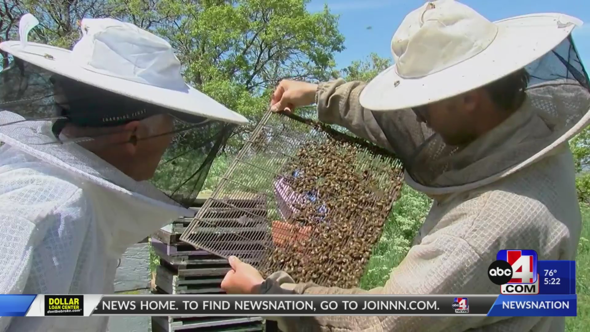 Beekeepers’ businesses boom in the Beehive State – ABC4 Utah