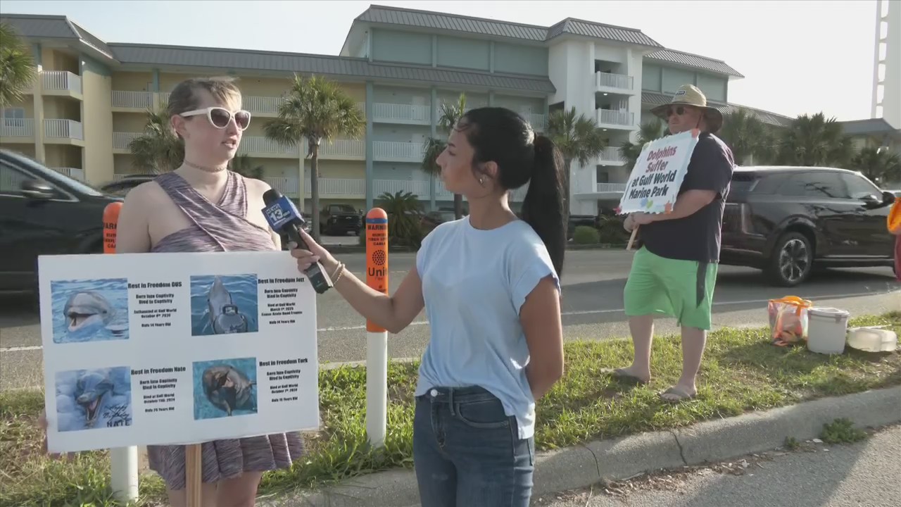 UPDATE: Death of another dolphin at Gulf World Marine Park – WKRN News 2
