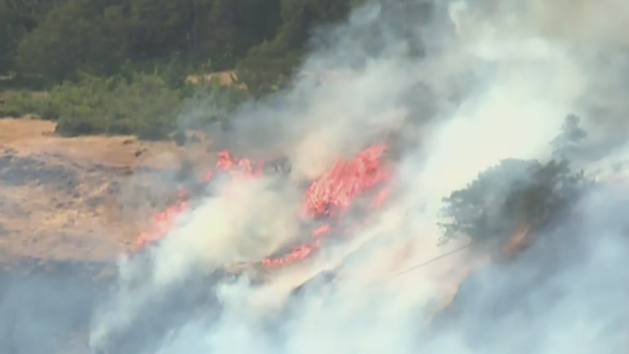 Burdoin Mountain Fire in Columbia River Gorge prompts Level 3 ‘Go Now ...