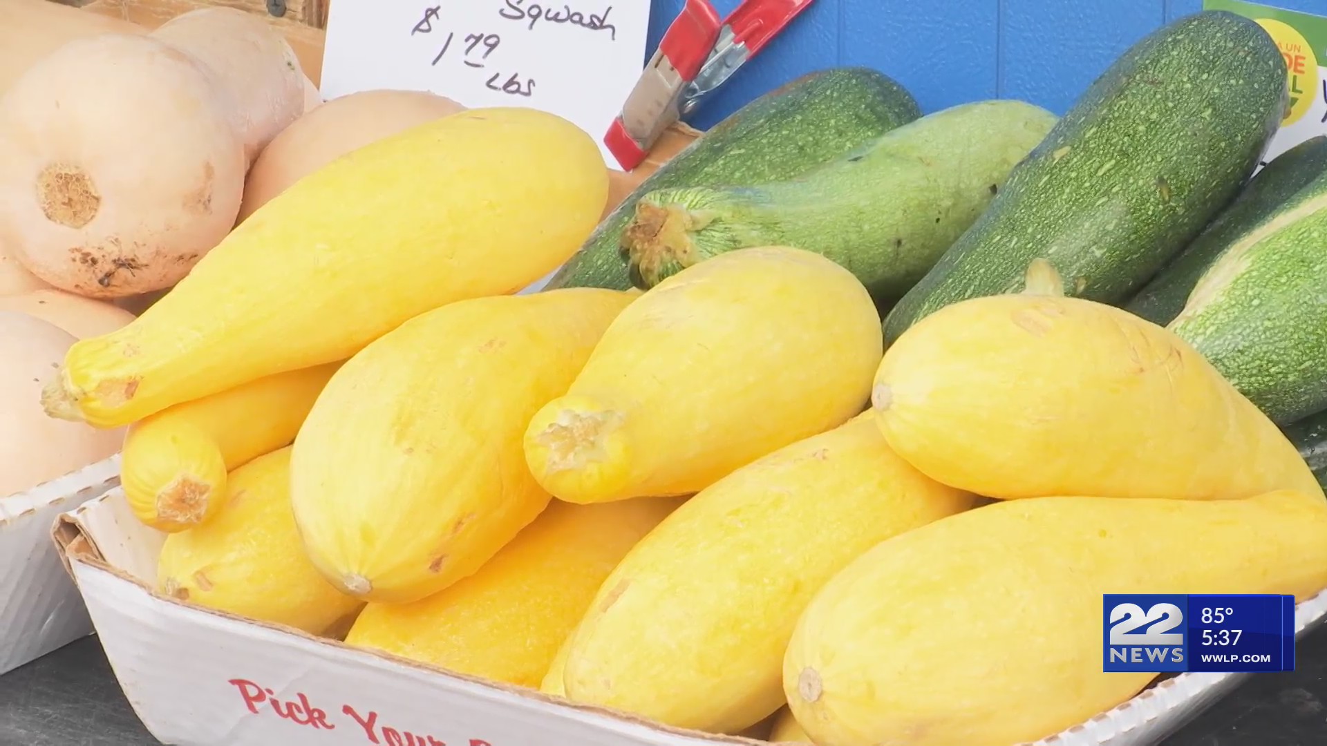 Springfield downtown farmers market offers fresh local food options – WWLP