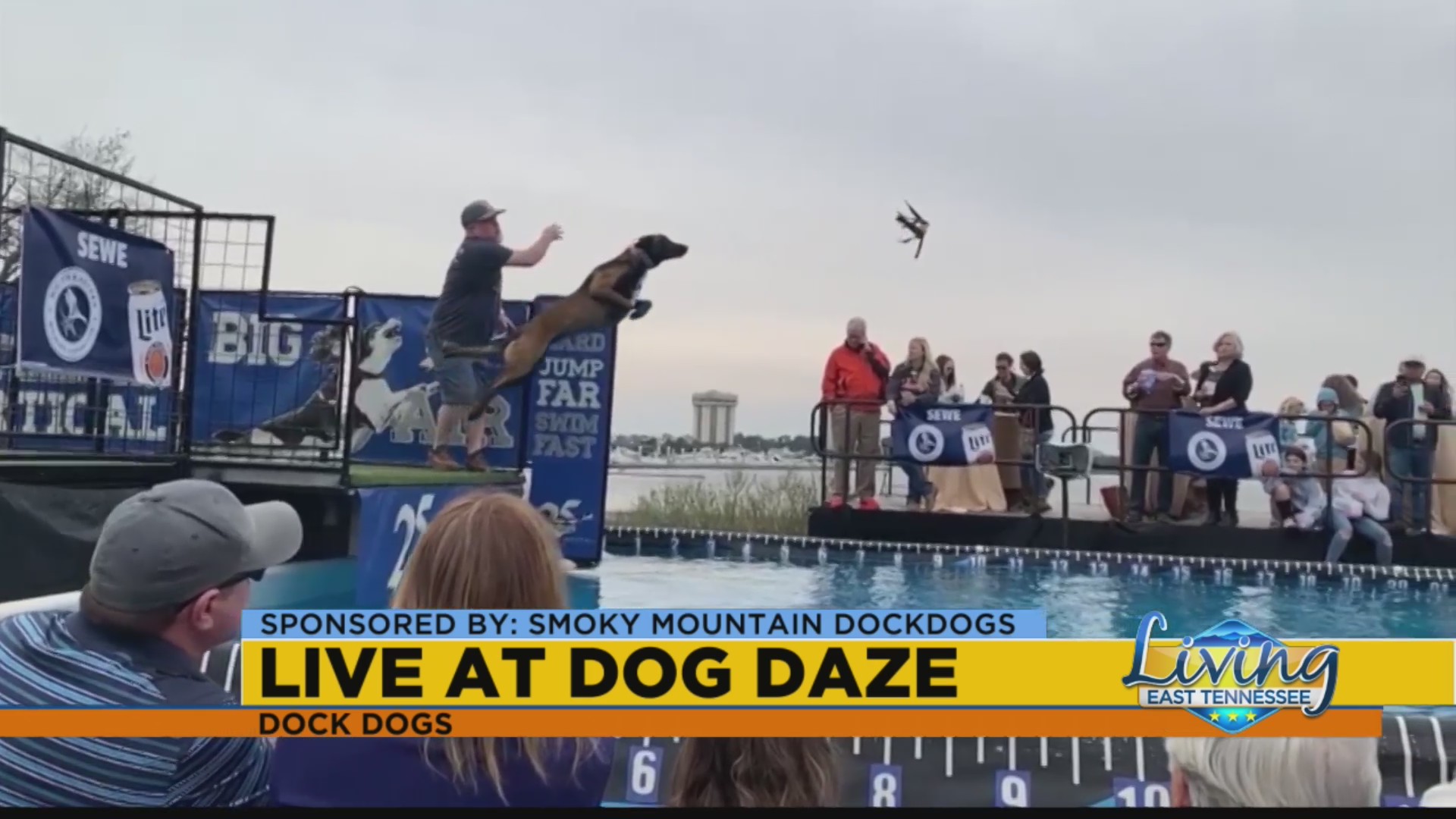 Enjoy the Dog Daze of Summer – WATE 6 On Your Side