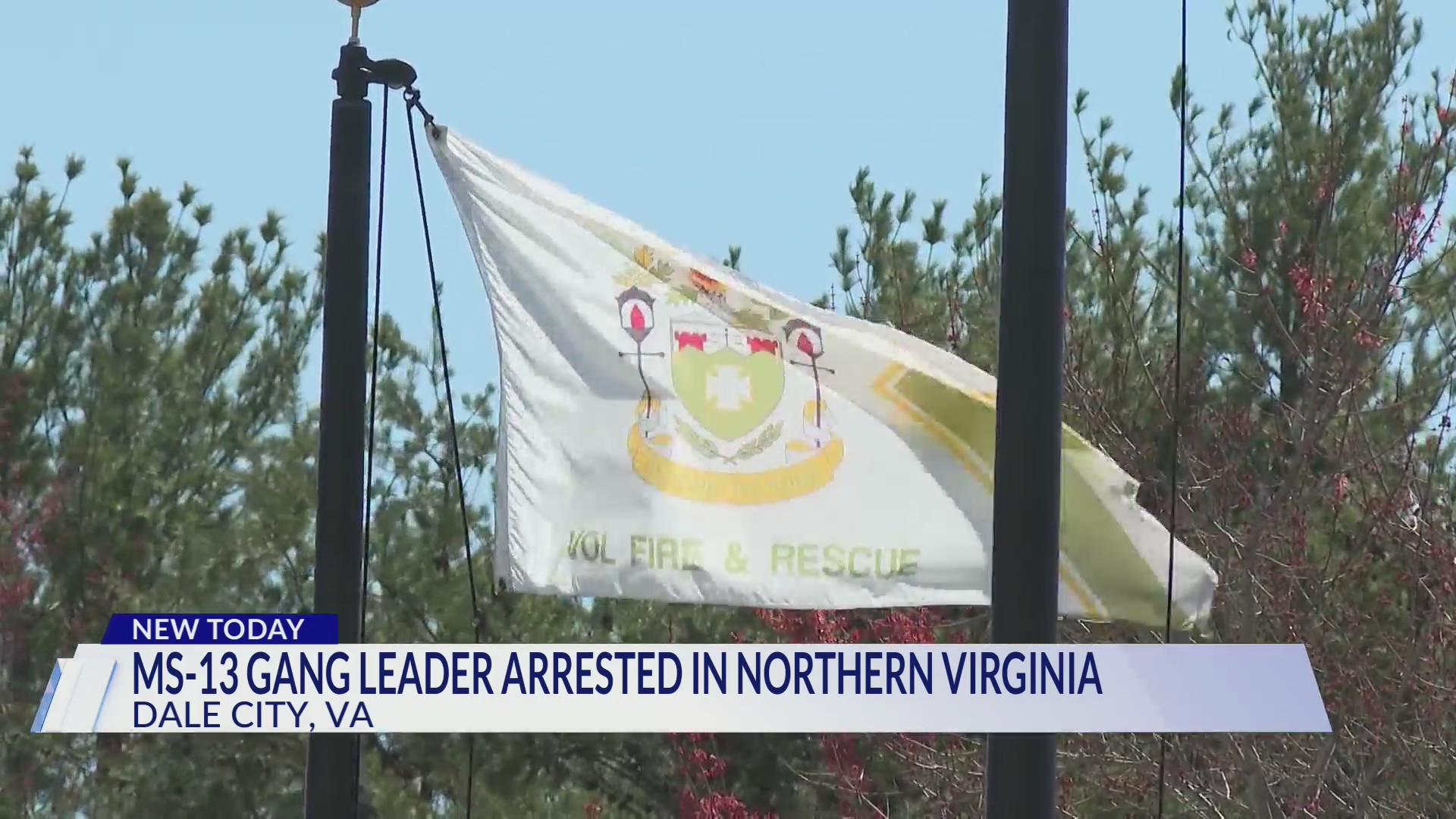 FBI arrests top leader of MS-13 gang in Woodbridge – DC News Now | DC ...