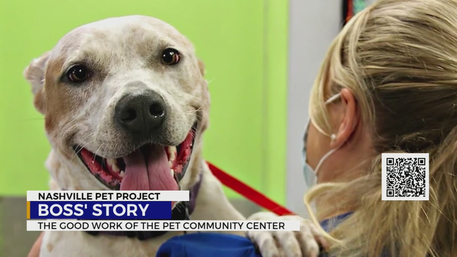 Nashville Pet Project: Good work of the Pet Community Center – WKRN News 2
