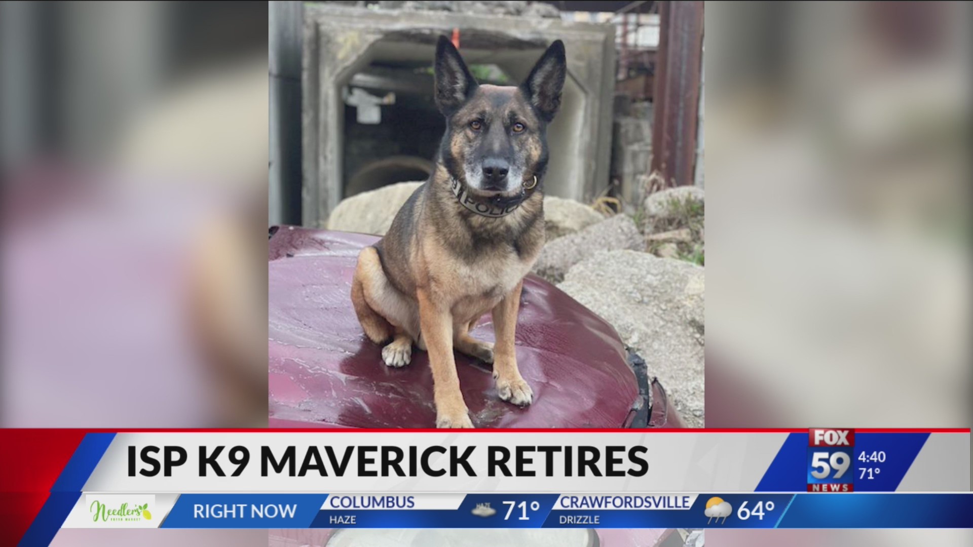 ISP K9 Maverick retires after more than 8 years of service – Fox 59