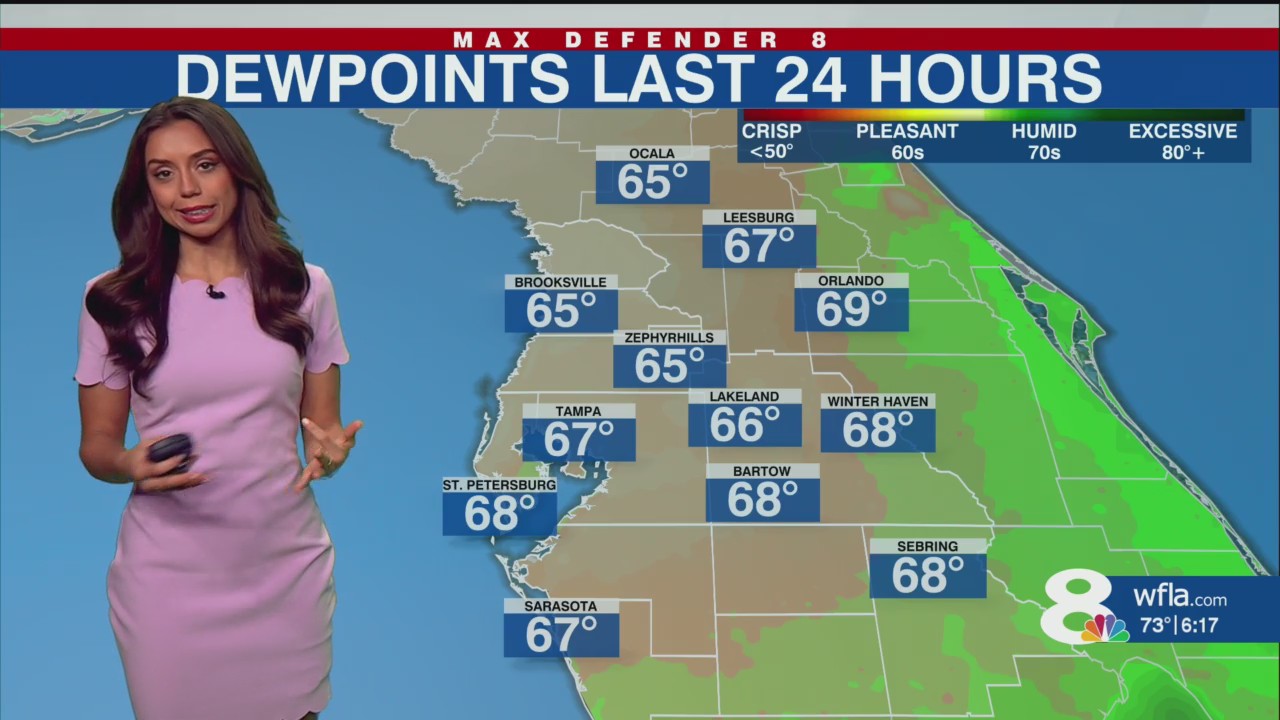 News Channel 8 Today: Weekend Edition – WFLA