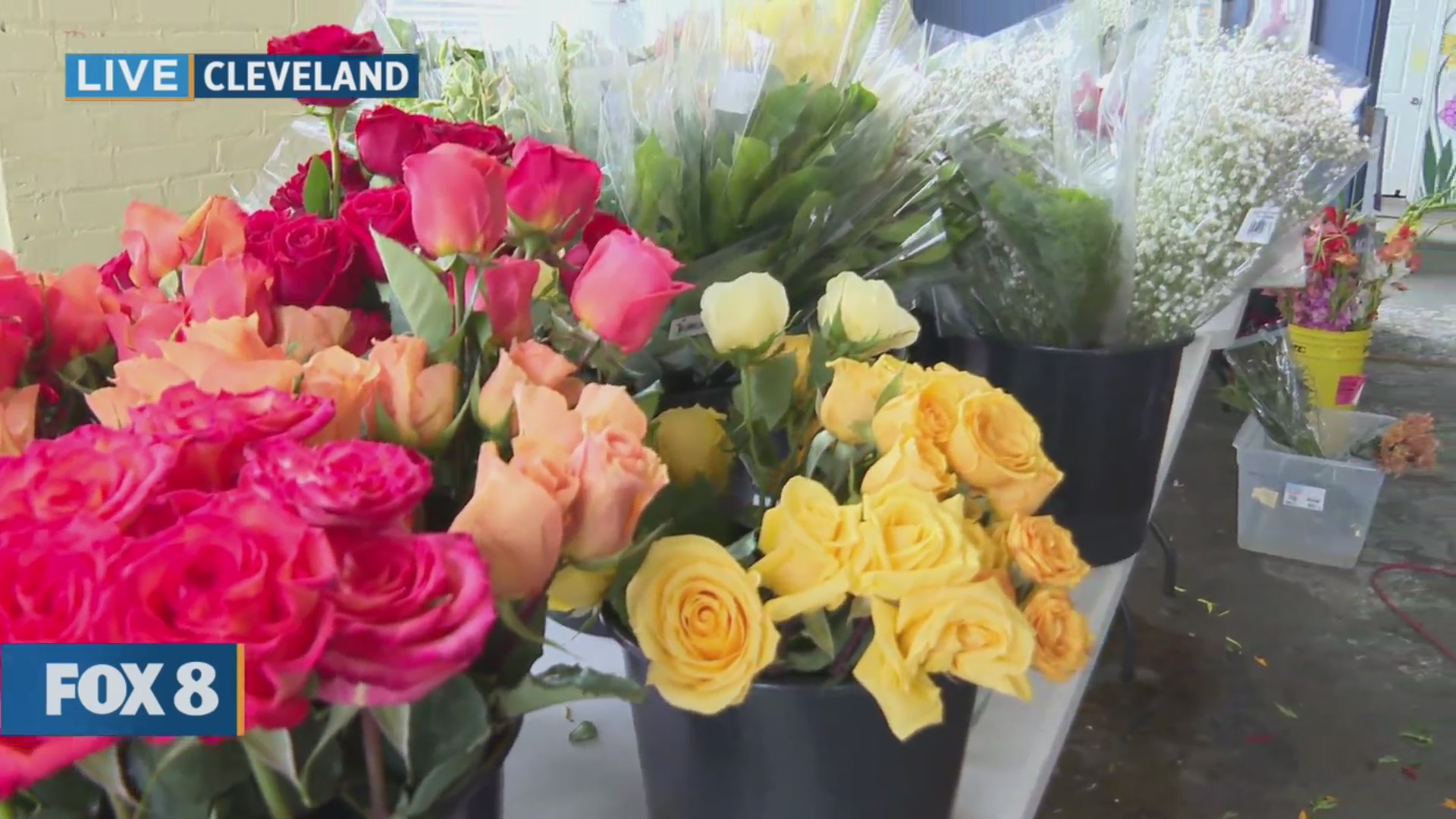 New Day Cleveland: BigHearted Blooms – Fox 8 Cleveland WJW