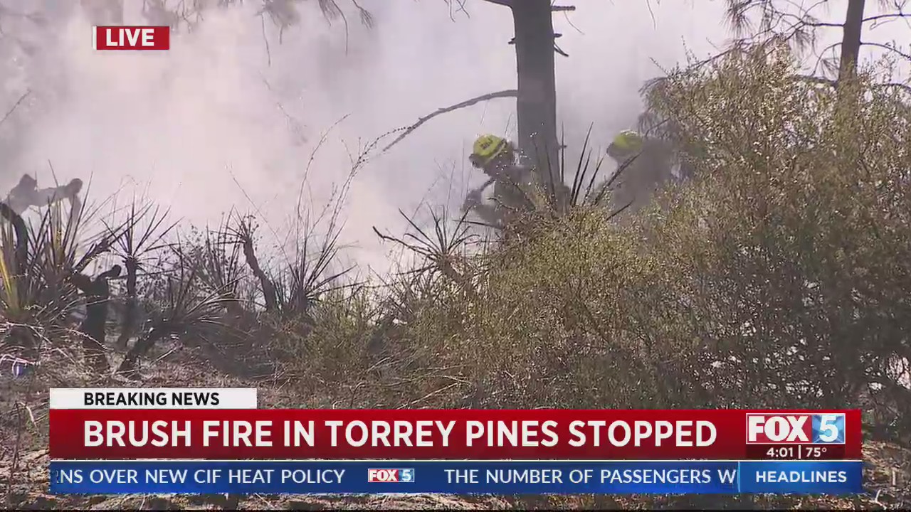 Brush fire in Torrey Pines State Natural Reserve stopped – FOX 5 San ...