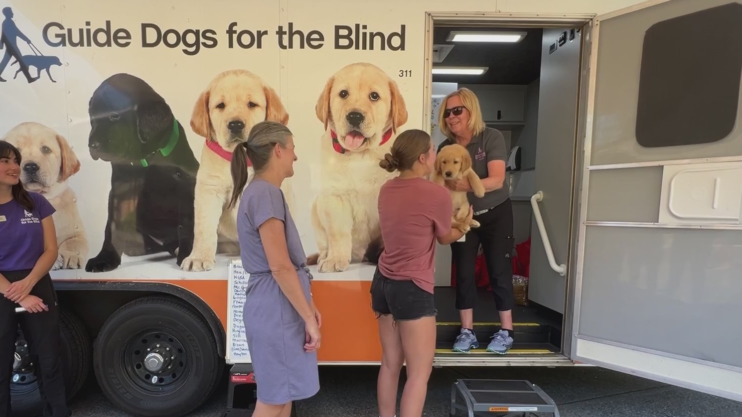 12 future Guide Dogs meet their trainers – KOIN.com