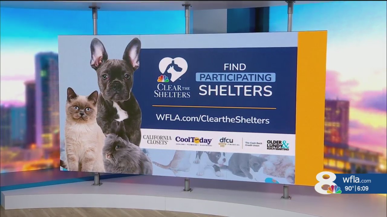 WFLA partners with NBCU Local for Clear the Shelters initiative – WFLA